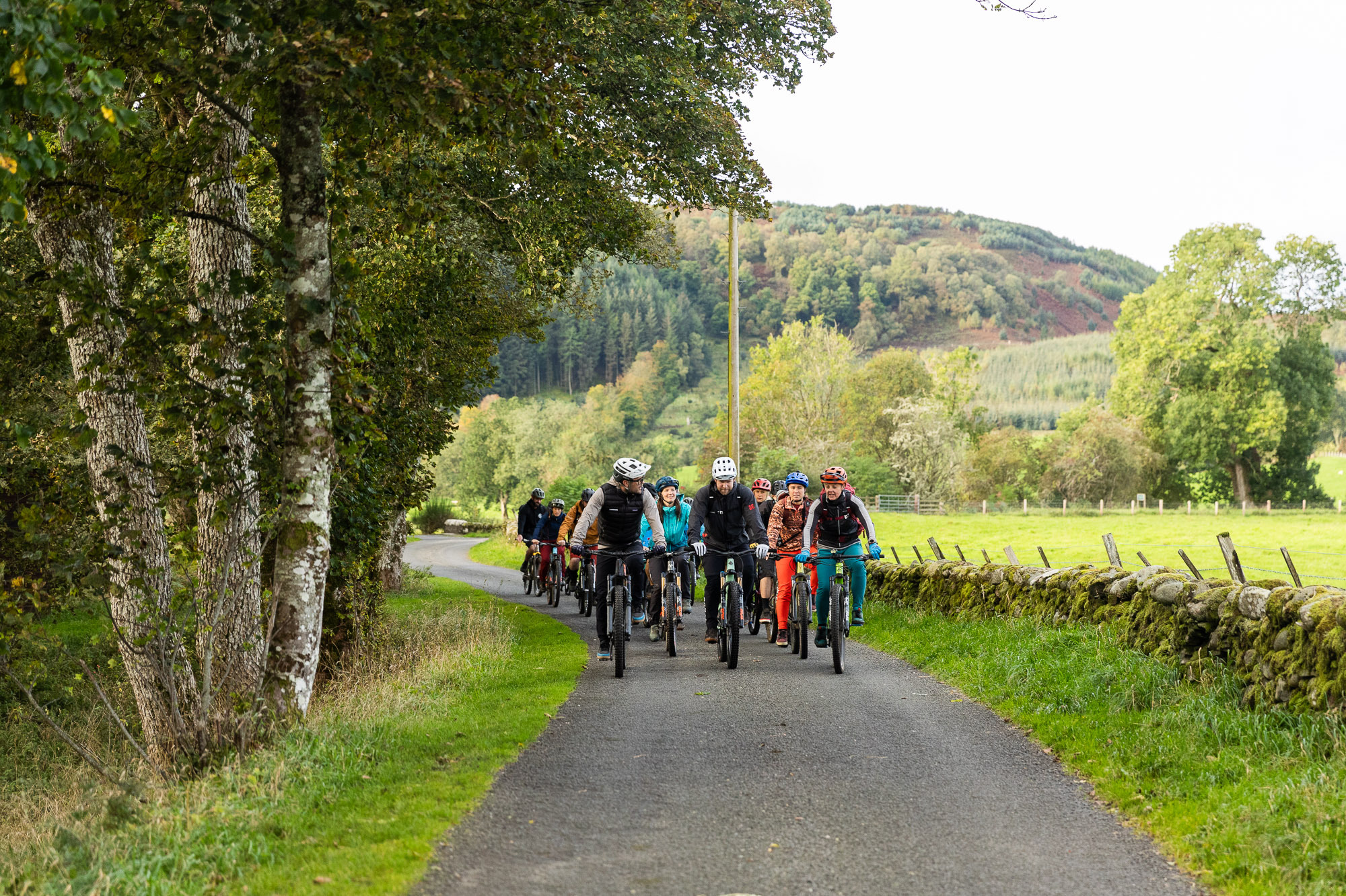 HELP SHAPE THE FUTURE OF MOUNTAIN BIKING IN SCOTLAND: NEW… – DMBinS