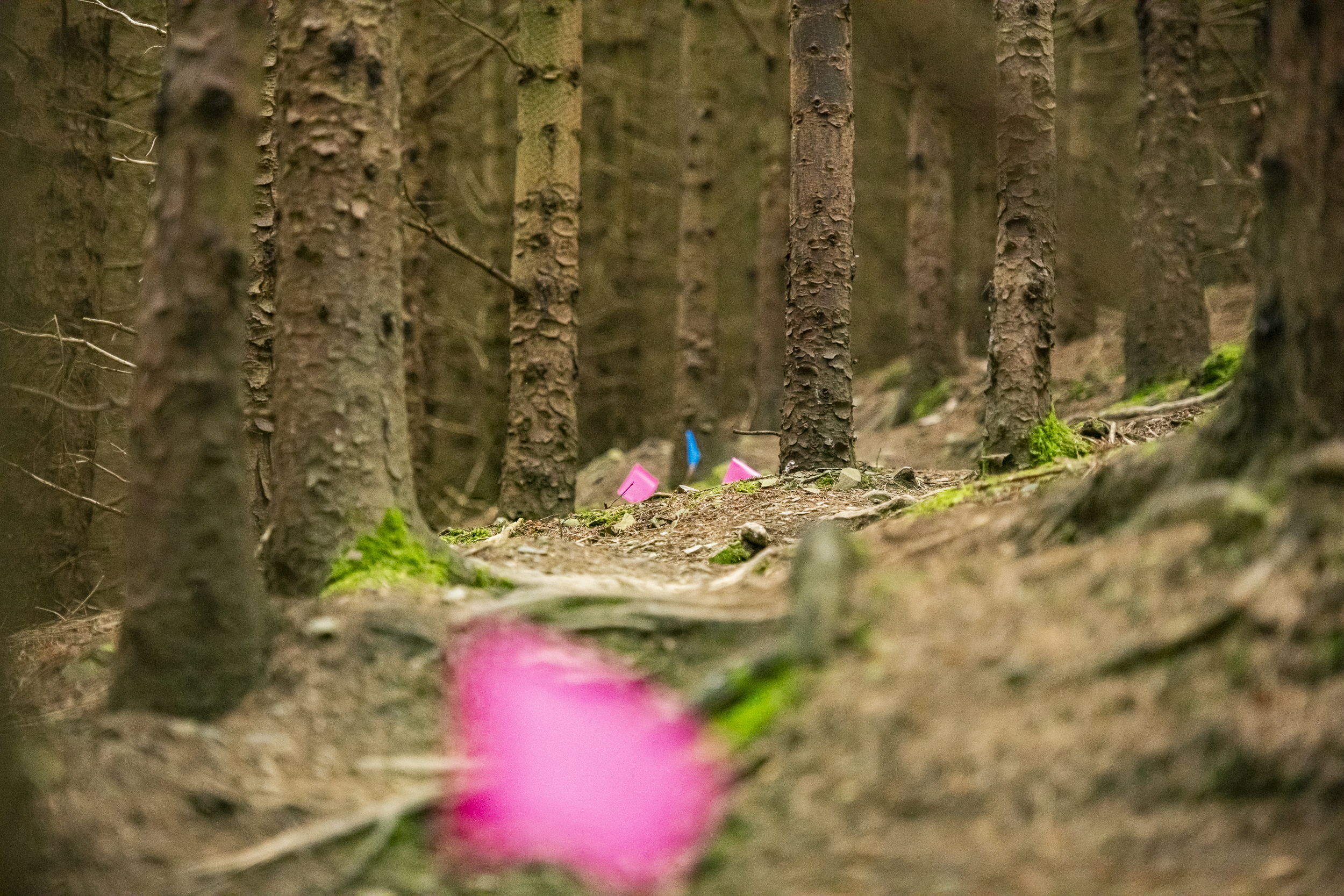 Trail Management Guidance for Mountain Bikers – DMBinS