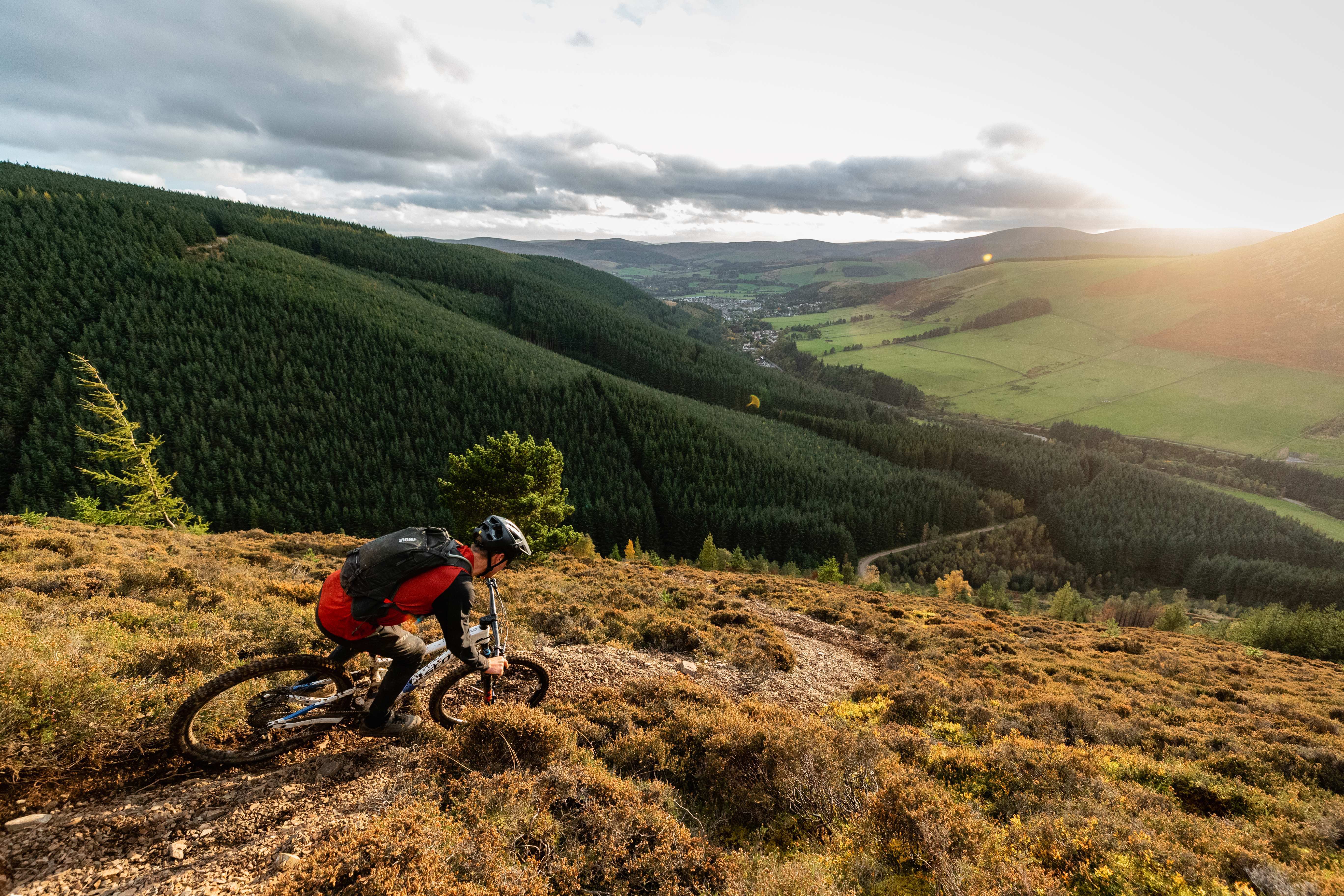 Tweed Valley Mountain Bike Rider Survey 2024 – DMBinS