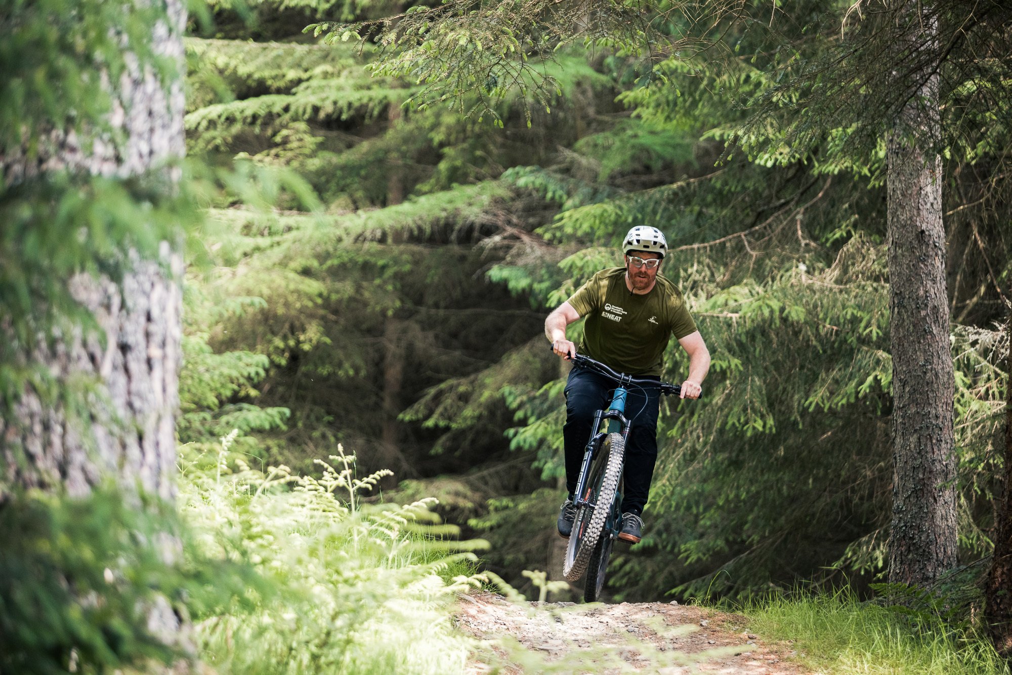 Will Clarke - DMBinS/NEAT – DMBinS