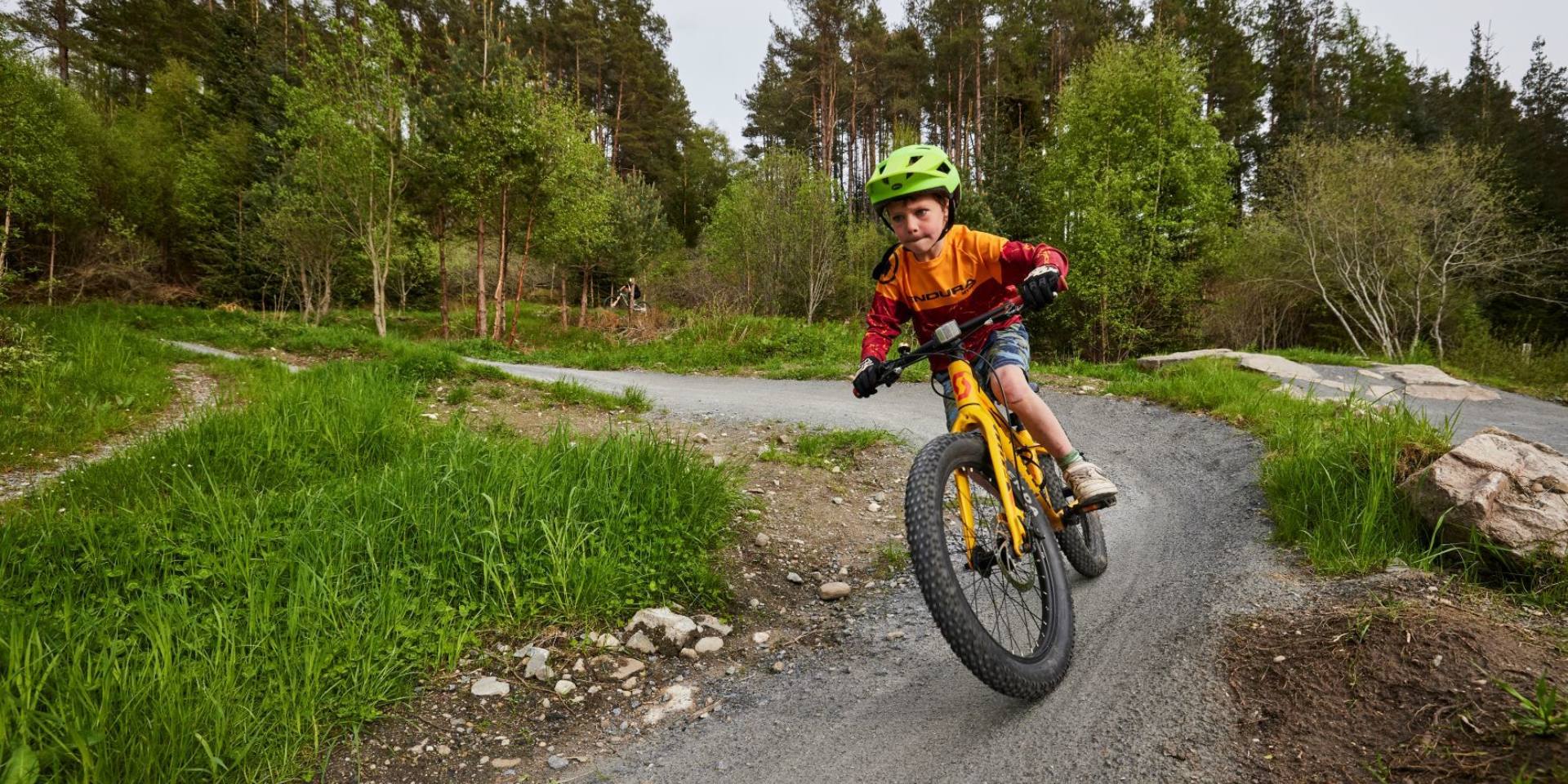 Laggan Wolftrax - The iconic highland trail centre to start… – DMBinS