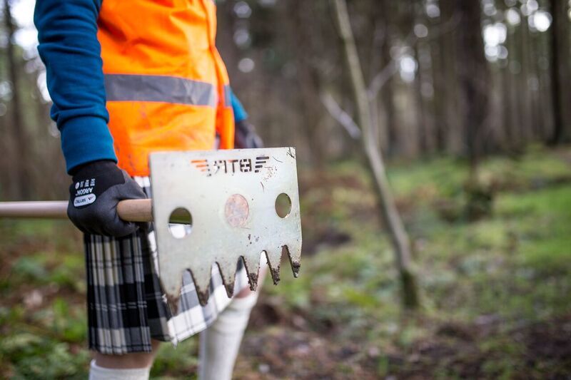 TVTA & FLS - New Agreement – DMBinS